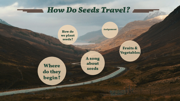 How Do Seeds Travel? by Valerie tavares