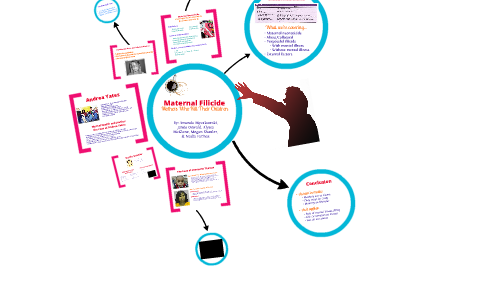 Maternal Filicide: Mothers Who Kill Their Children by Amanda Myczkowski ...