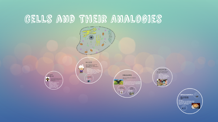 Cells and Their Analogies by Taylor Sullivan