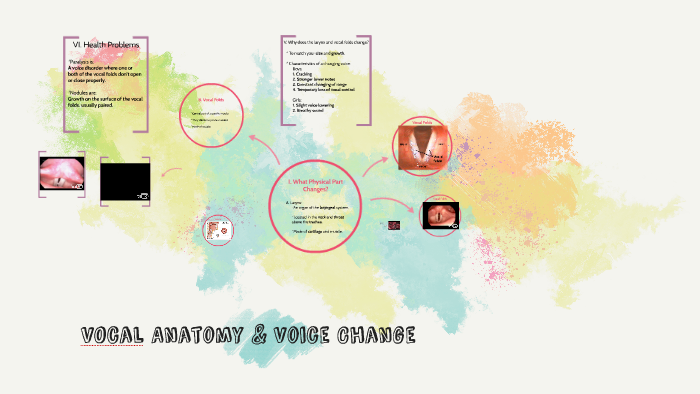 VOcal Anatomy & Voice Change by Spencer Russell on Prezi