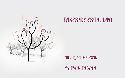 FASES DE ESTUDIO by on Prezi