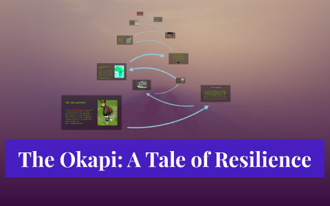The Okapi: A Tale of Resiliance by Trevor Gelaznikas on Prezi