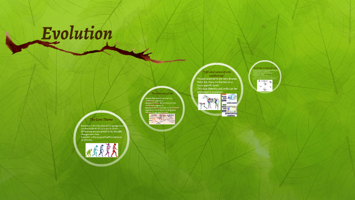 Evolution by on Prezi