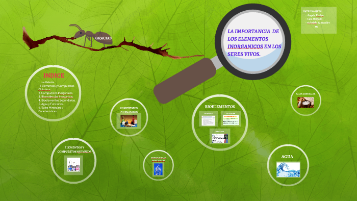 IMPORTANCIA DE LOS ELEMENTOS INORGANICOS EN LOS SERES VIVOS. by ...