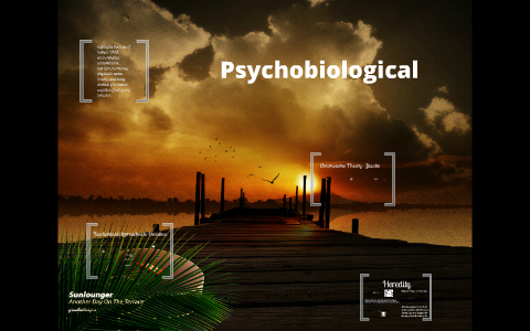 Psychobiological Theory by david hoffman on Prezi