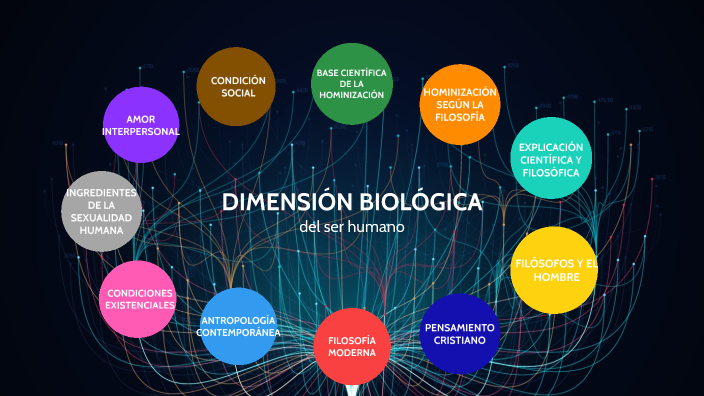 DimensiÓn BiolÓgica Del Ser Humano By Juan Antonio Esquivel On Prezi