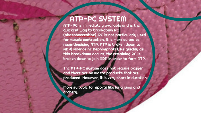 Netball- Energy Systems by Bashoy Boyoris on Prezi