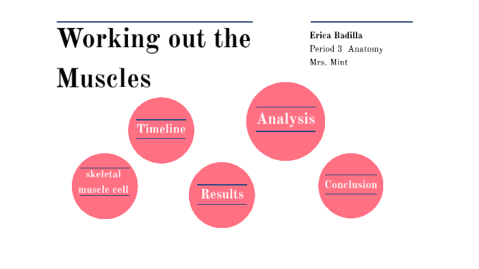 Muscle contraction project by Erica Badilla on Prezi