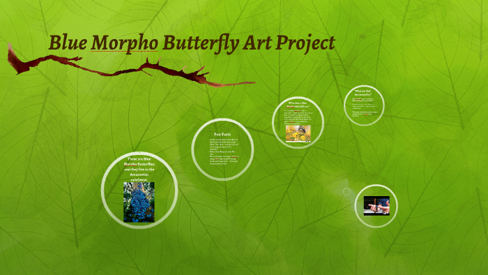 Blue Morpho Butterfly and the Amazonian Rainforest by Danielle Sawan on ...