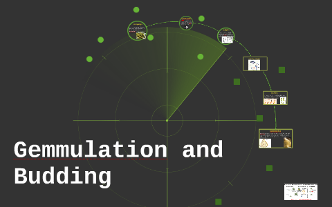 Gemmulation and Budding by Ricardo Nájera on Prezi