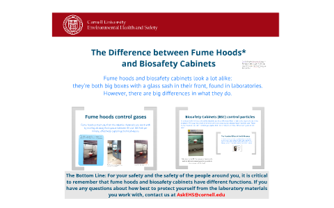 Hoods And Bsc Comparison By Ralph Stuart