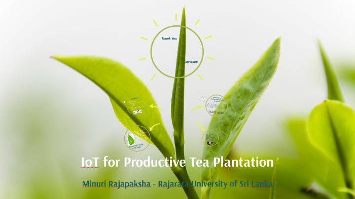 IOT for productive tea plantation by minuri rajapaksha on Prezi