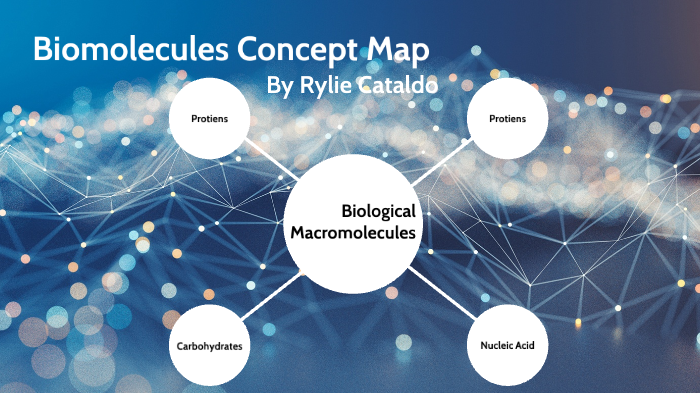 Biomolecules Concept Map by Rylie Cataldo on Prezi