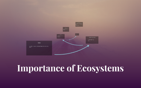 Importance of Ecosystems by Savannah Roberts on Prezi