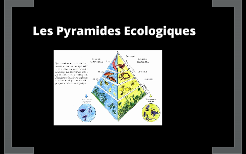 Les pyramides ecologiques by Abby McMann on Prezi