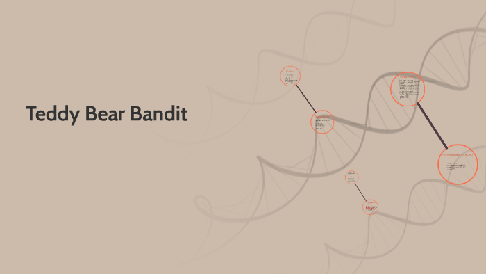 Teddy Bear Bandit by Emily Magruder on Prezi