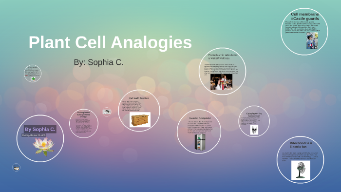 Plant Cell Analogies by sophia channa