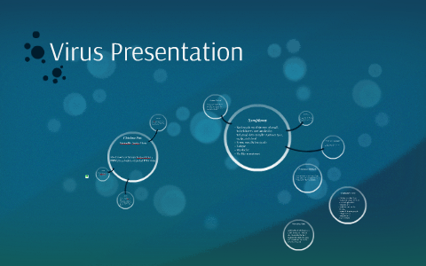 Virus Presentation by Laura Mitchell on Prezi