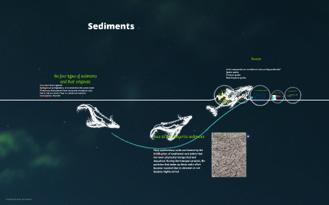 the four types of ocean sediment by BEK TAJIBAEV on Prezi