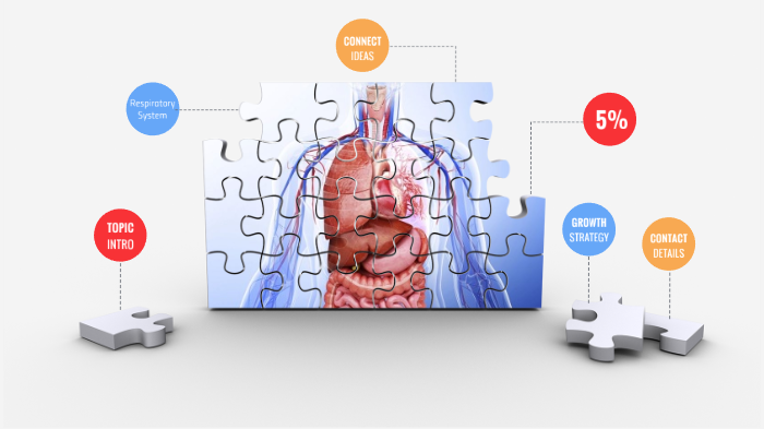 Modeling Interacting Body Systems by Catherine F Avilez Cardozo on Prezi