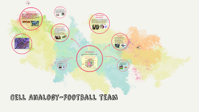 Cell Analogy-Football Team by Alanood AlH on Prezi