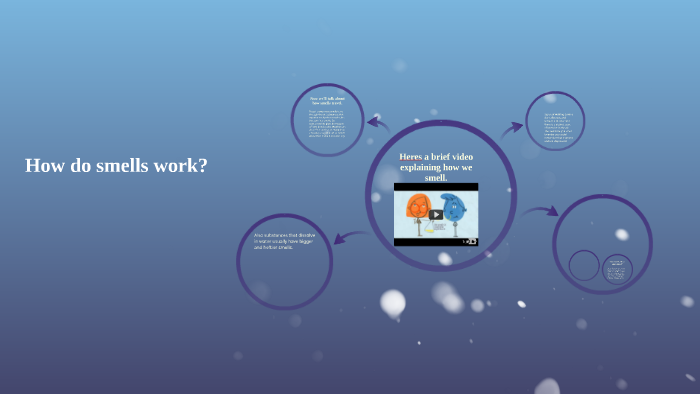 How do smells work? by Ethan Jackson on Prezi