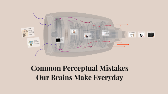Common Perceptual Mistakes Our Brains Make Everyday by Uyen Le on Prezi
