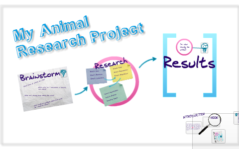 Writing An Introduction for My Animal Research Paper by Meredith Koltz ...