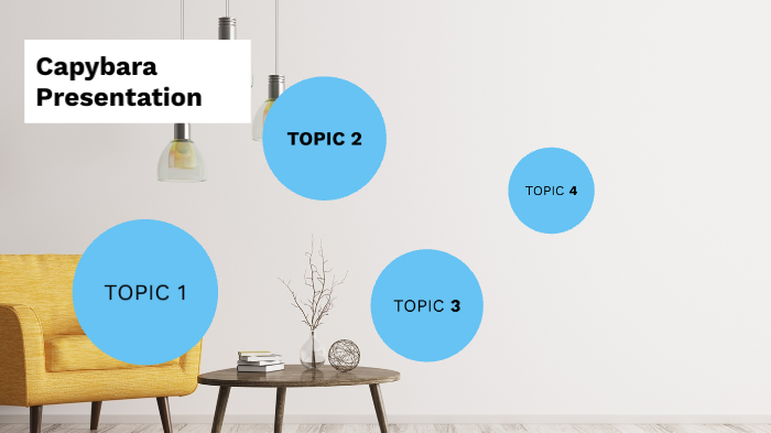 Capybara Presentation by Peyton Farnsworth on Prezi