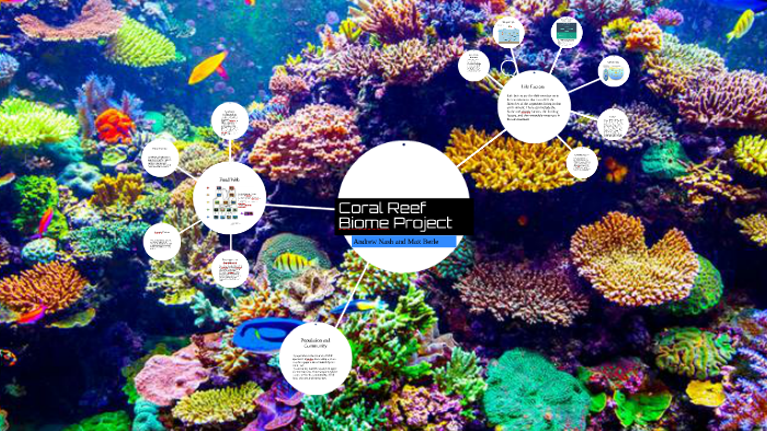Coral Reefs Biome Prezi-ntation by Andrew N. on Prezi