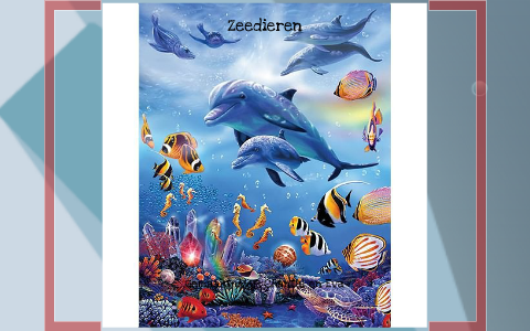 Spreekbeurt Zeedieren by Eva Timmer on Prezi