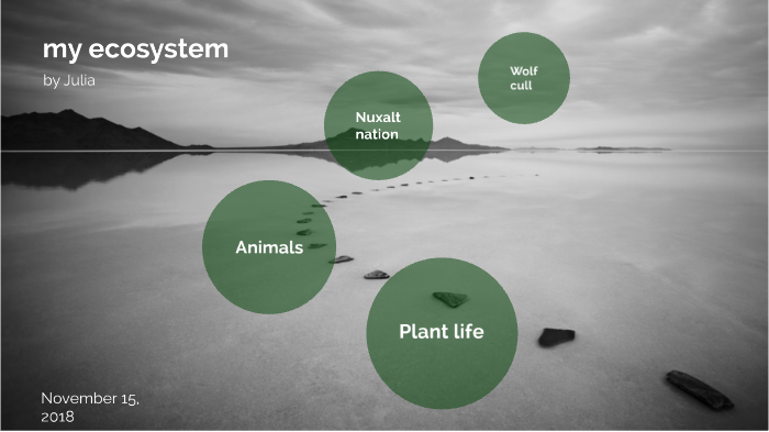 My Ecosystem by Julia A on Prezi