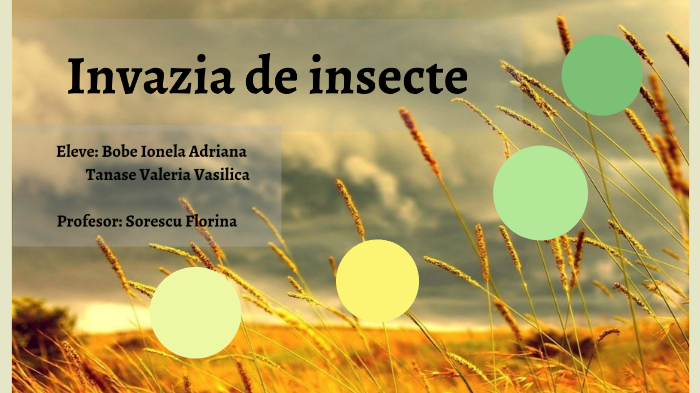 Invazia de insecte by Ade Adriana on Prezi