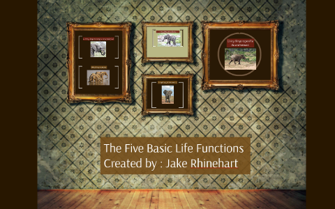 The Five Basic Life Functions by REBECCA BAGGETT on Prezi