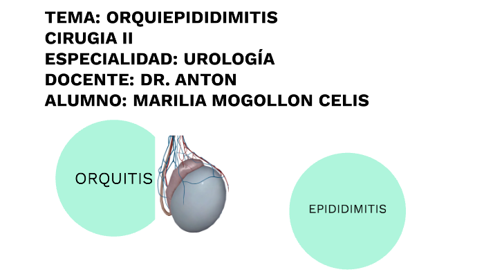 Orquiepididimitis Rotacion 5 Urología by Maril MC on Prezi