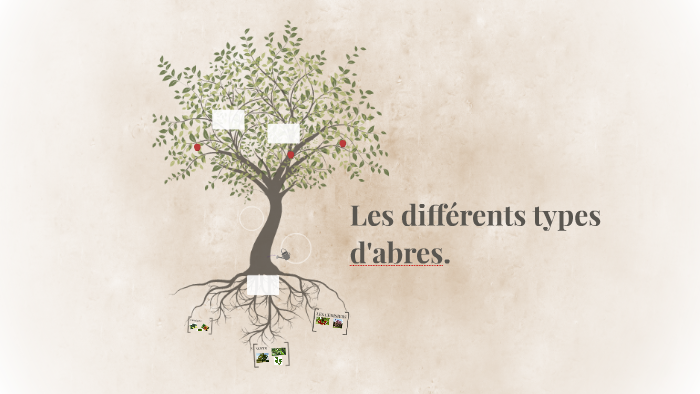 Les différents types d'arbres by ecole viricelles on Prezi