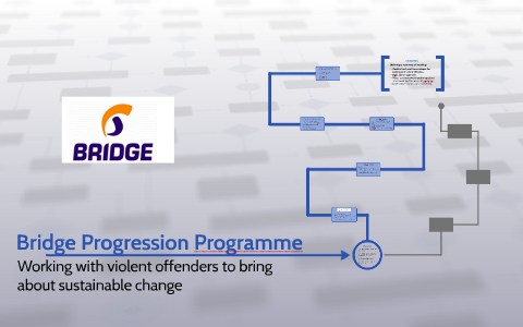 Bridge Progression Programme by siobhan cafferty