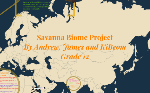 Savanna Biome Project by on Prezi