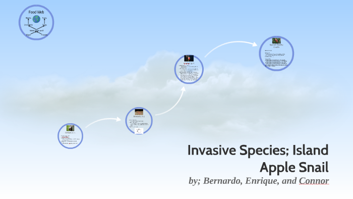 Invasive Species; Apple Snail by Bernardo Guerra on Prezi