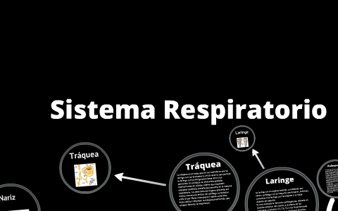 Sistema Respiratorio by Allan Moya on Prezi