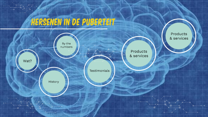 Hersenen in de puberteit by Britt Malisse on Prezi