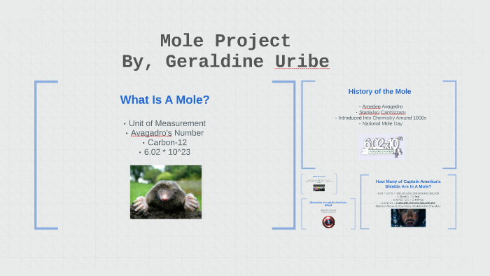 Mole Project by Geraldine Uribe on Prezi