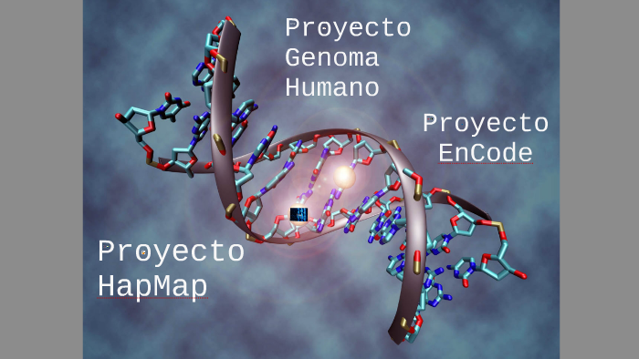 PGH,Hap Map y Encode by francisco perez on Prezi