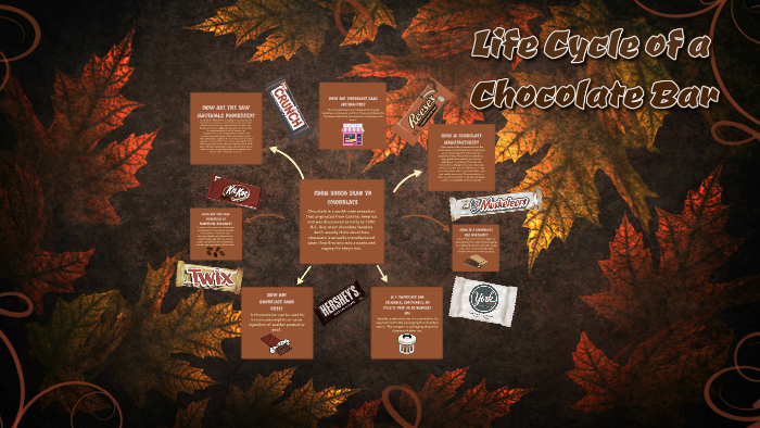 Life Cycle of a Chocolate Bar by Ellie Bichsel on Prezi