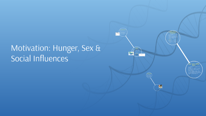 Motivation: Hunger, Sex & Social Influences by Alexis Mendheim on Prezi