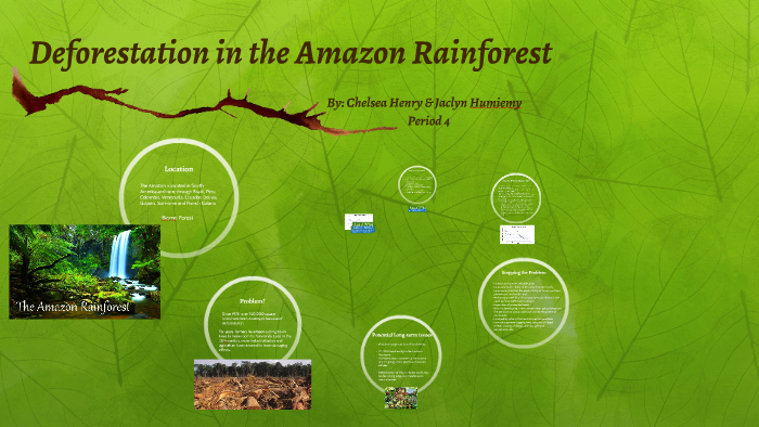 Deforestation in th Amazon Rainforest by on Prezi