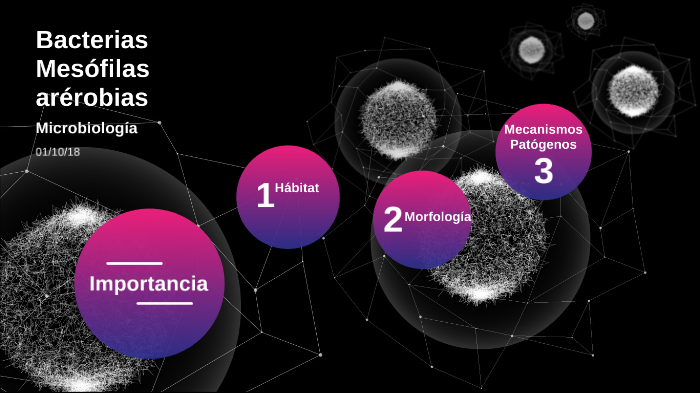 Bacterias Mesófilas Aeróbicos by Roberto Herman on Prezi