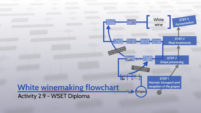 White winemaking flowchart by Angeliki Tsioli on Prezi