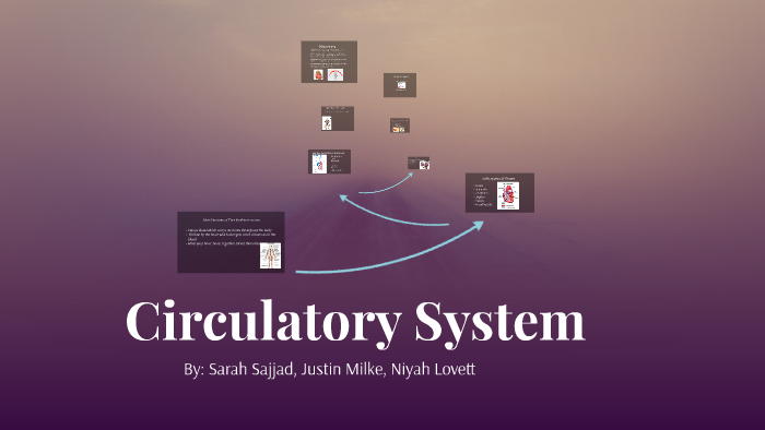 Circulatory System by Sarah Sajjad on Prezi