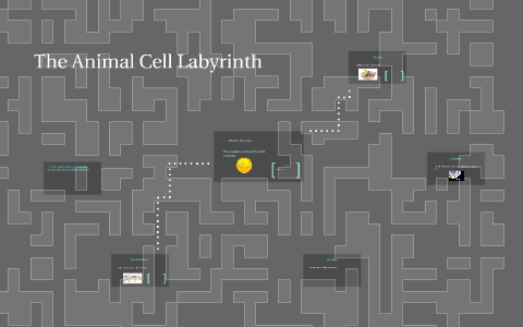 The animal cell Labyrinth by Bonnie Johnson on Prezi